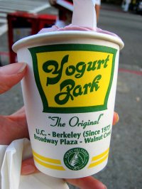 The cold sweet stuff: Inside Berkeley's fro-yo scene