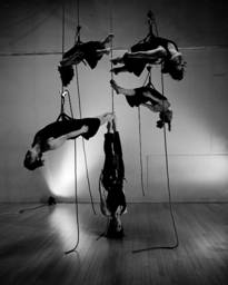 Berkeley aerial dance troupe makes performance debut