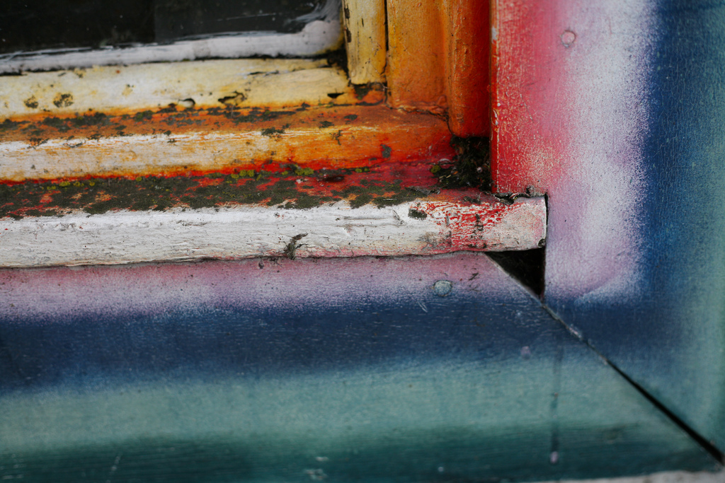 The Berkeley Wire: 10.10.11