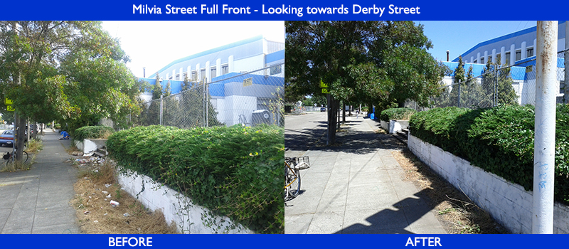 Berkeley Iceland must be maintained, whatever its fate