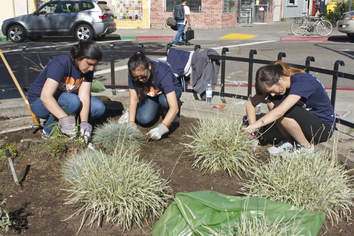 UC Berkeley students take part in community work day