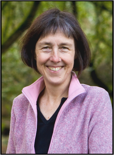 Nancy Skinner unveils bill to regulate ammunition sales