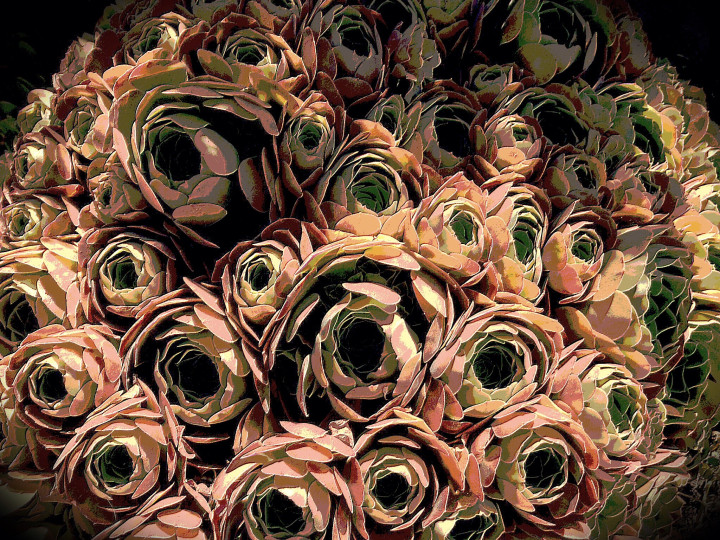 The Berkeley Wire: 06.20.14