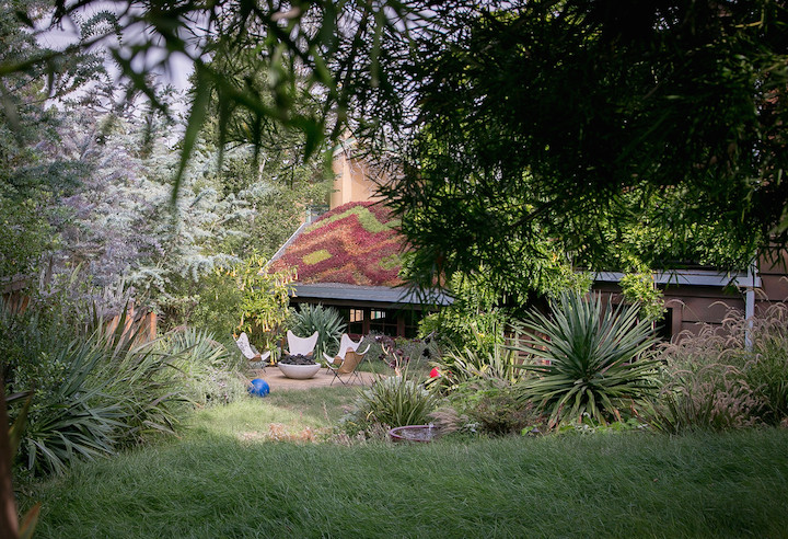 How Quirky is Berkeley? Gardens that define the term