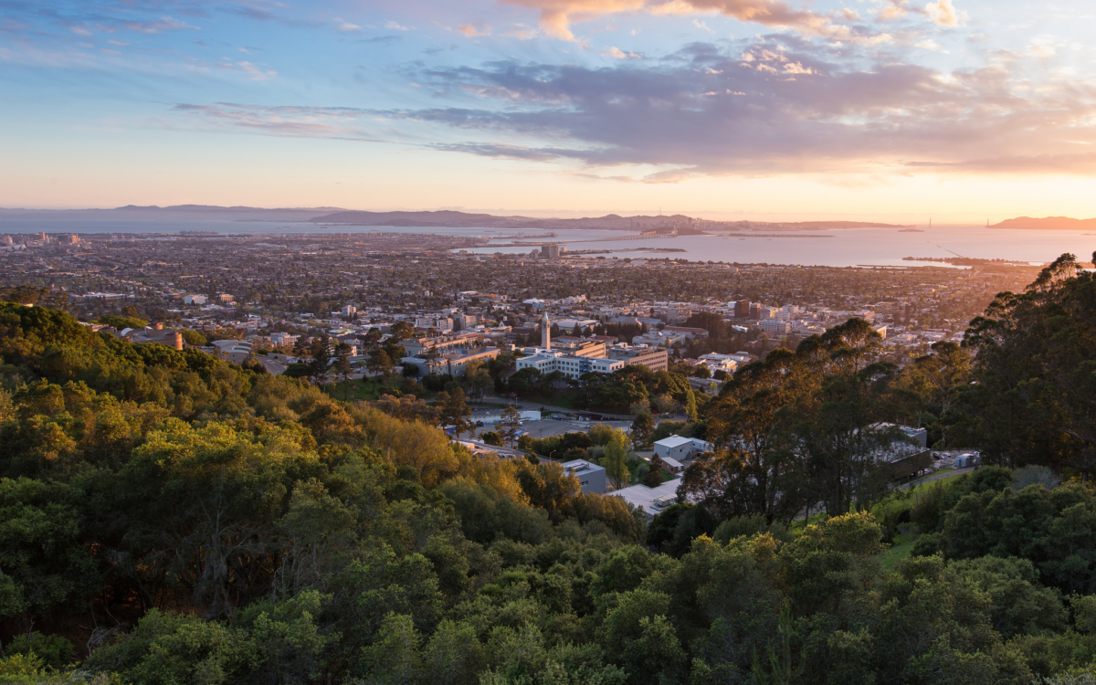 Welcome to the redesigned Berkeleyside: A better experience for all our ...