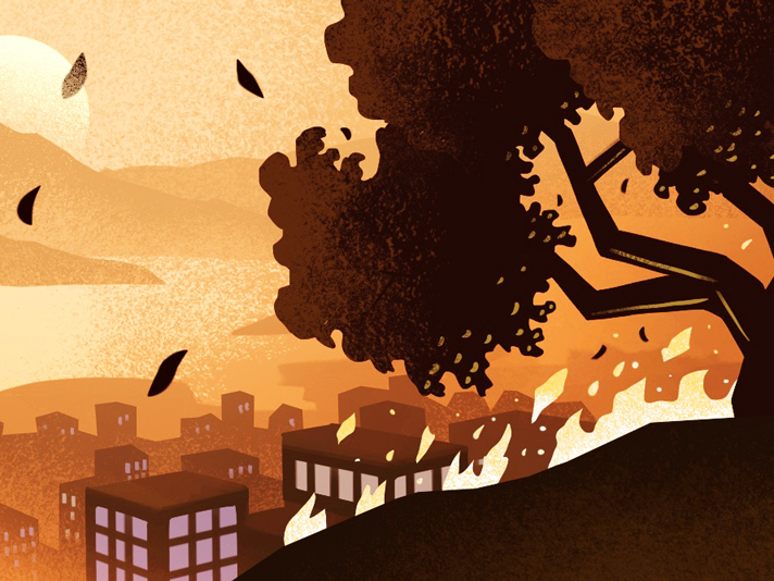 Berkeleyside's guide to wildfire season