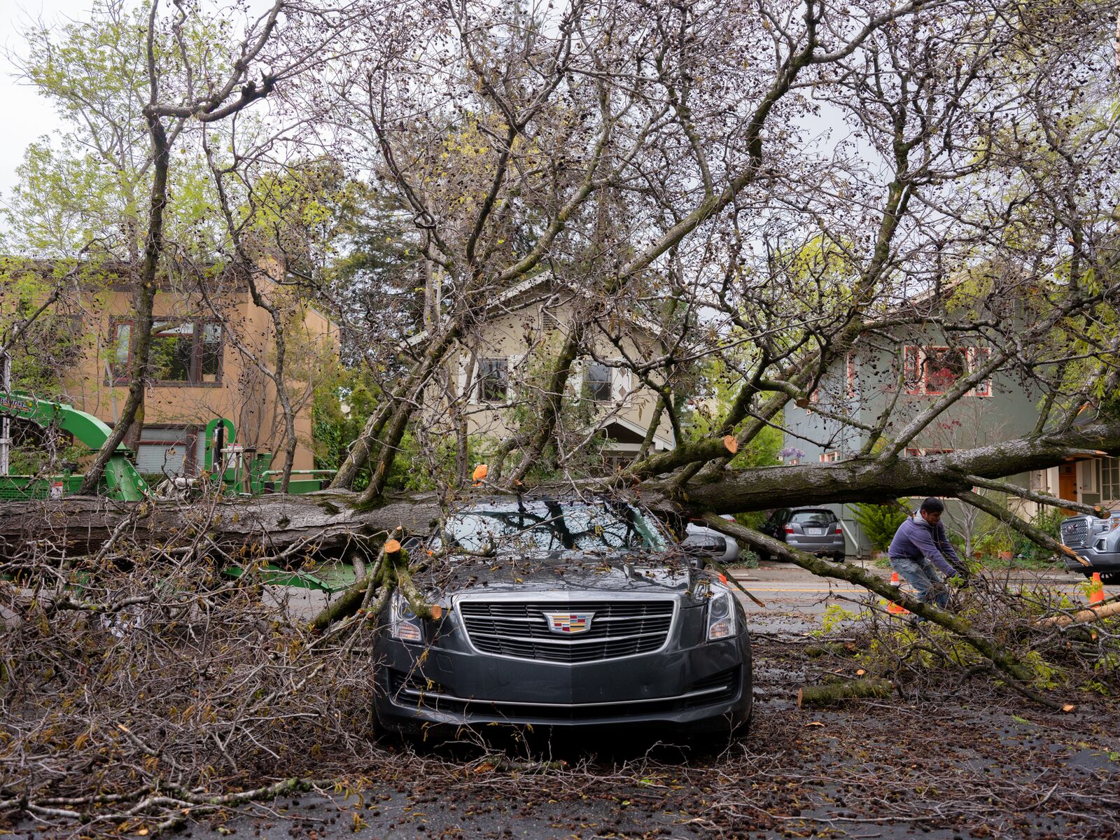 Trees fall, cars crushed as storm leaves 10,000 without power in Berkeley