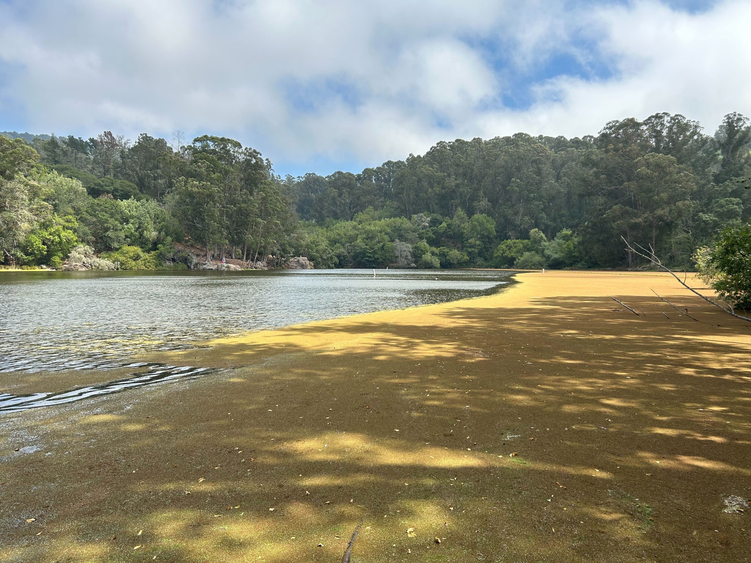 As squishy fern spreads, Lake Anza again closes to swimmers