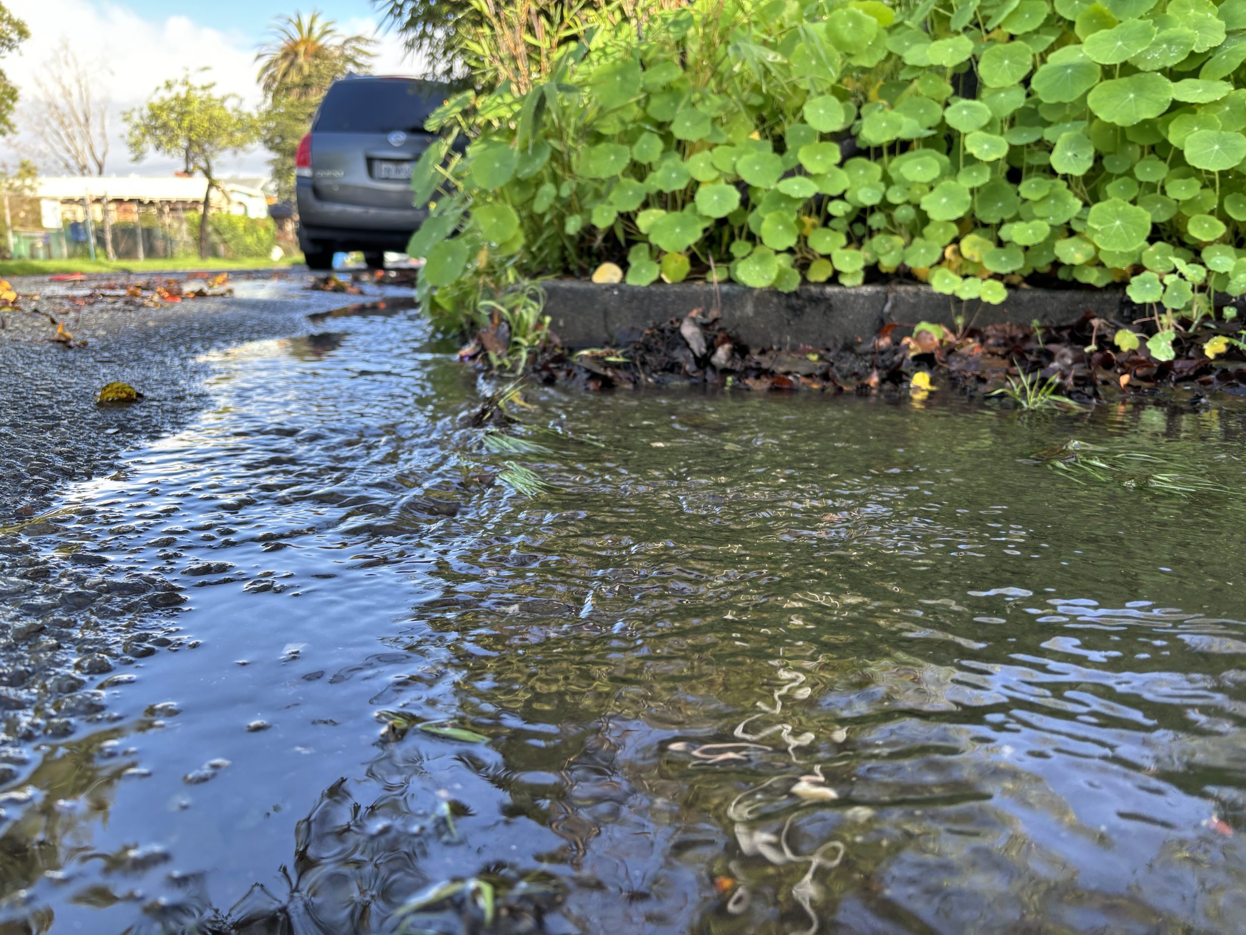 Storm rolling in Sunday will be be wetter, windier than this week's