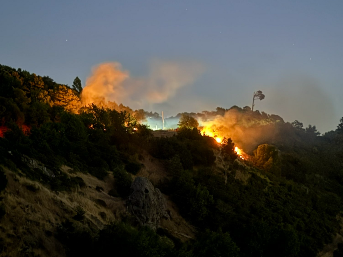 Fireworks display seen before blaze in Berkeley Hills Monday night