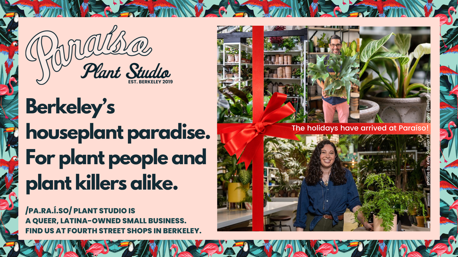 Paraíso Plant Studio — Berkeleyside