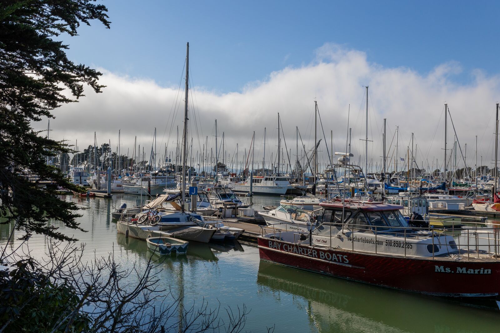 You may have to pay to park at some Berkeley Marina lots soon